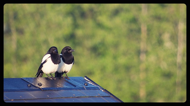 Northern Superstitions – northeastlore